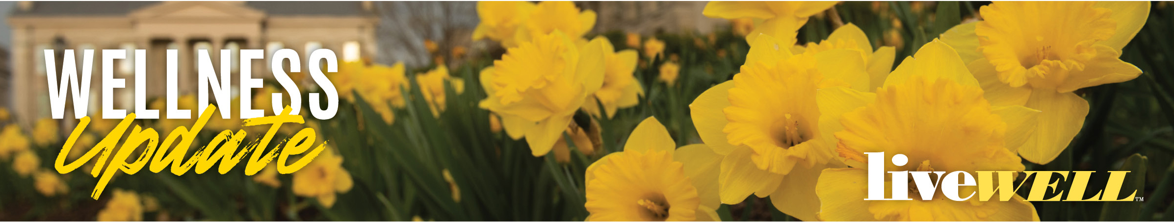 Department of Ophthalmology Update