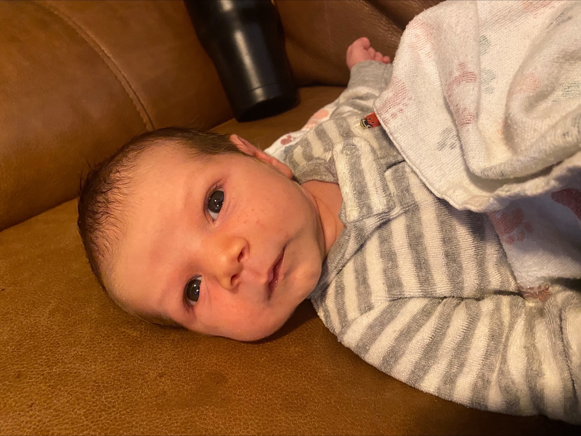 Department of Ophthalmology Update